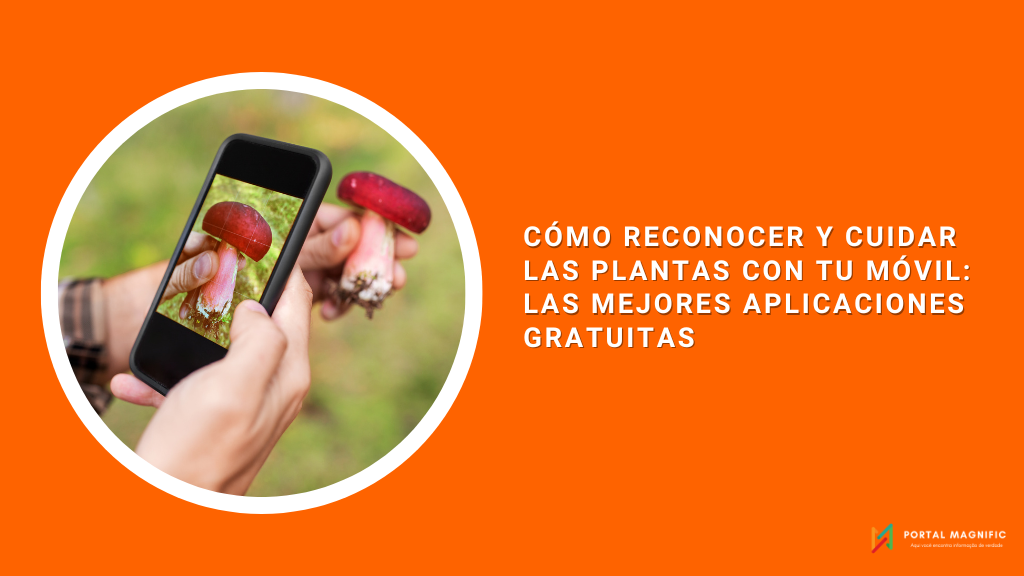 Cursa: una plataforma de cursos online gratuitos con certificado - Blog ...